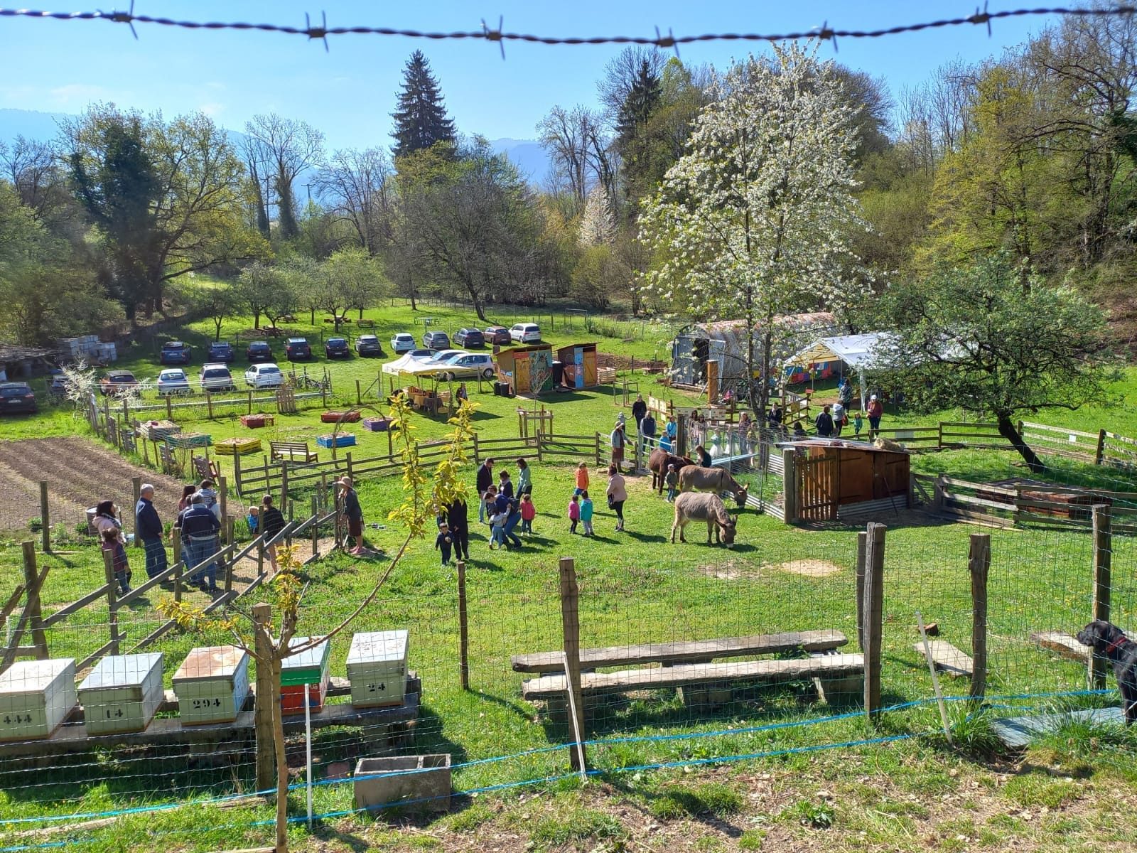 Home - Thonon-les-Bains Tourism - Geneva Lake